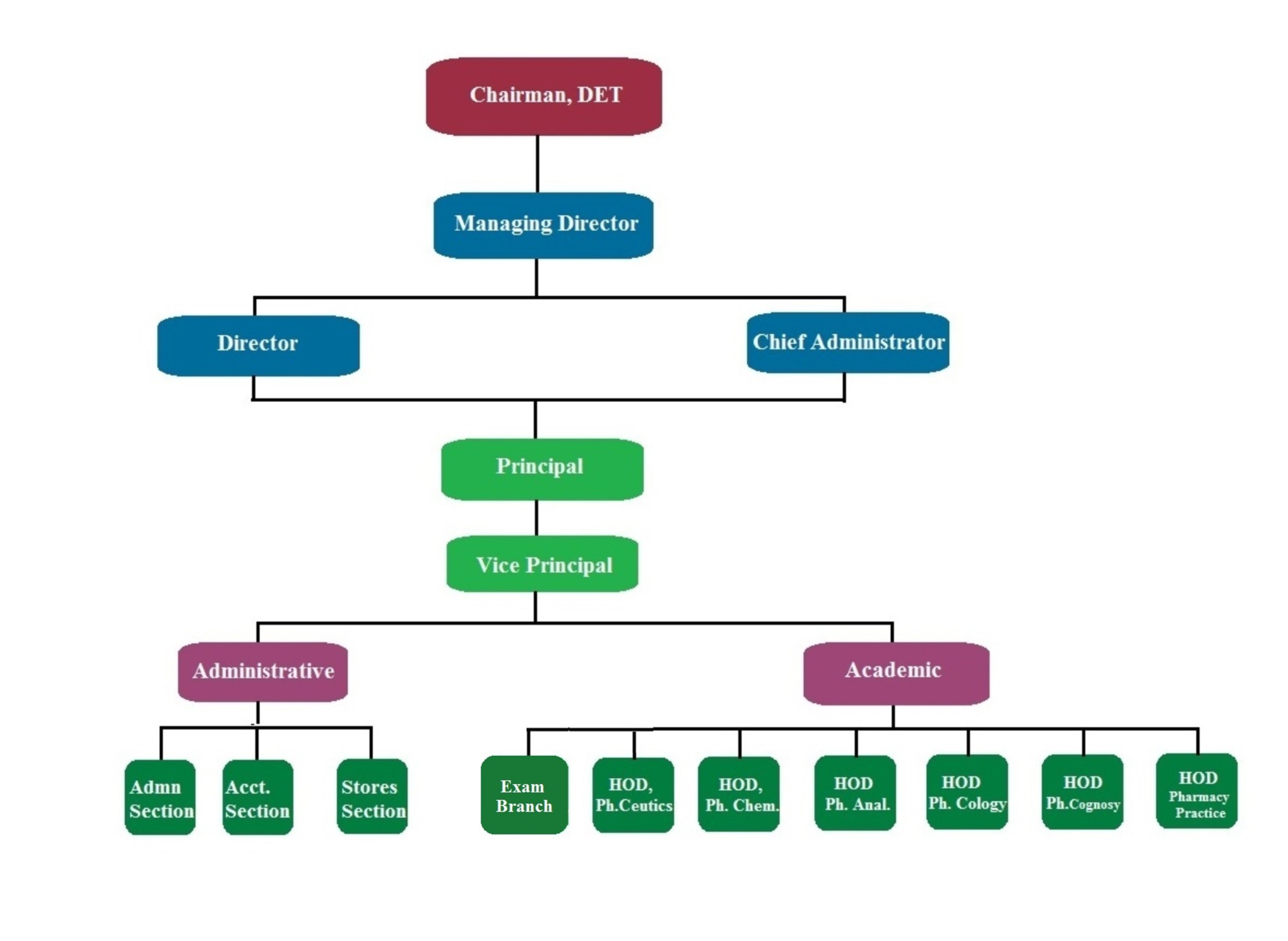 Organizational Chart Deccan School Of Pharmacy Organizational Chart Deccan School Of Pharmacy